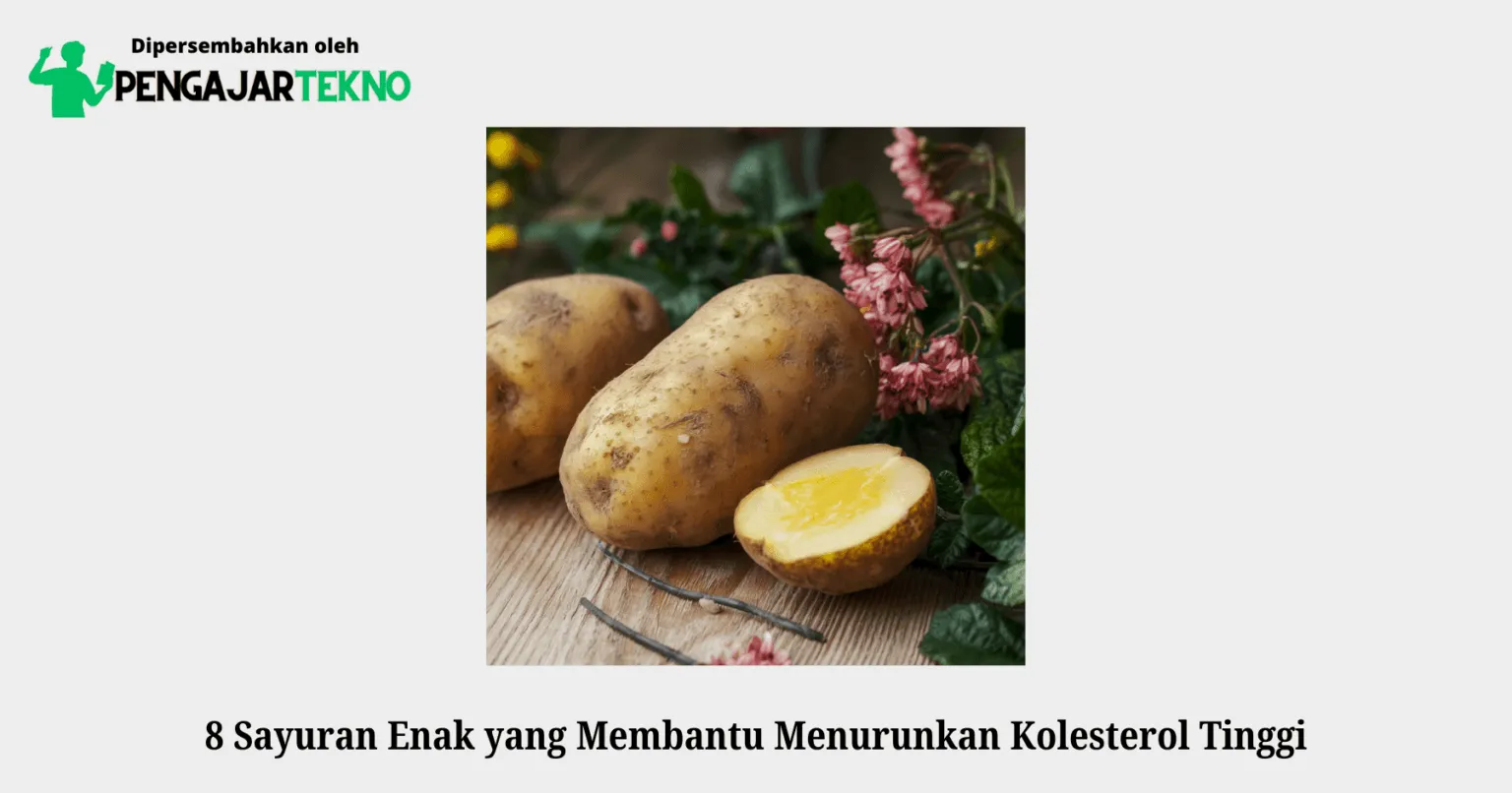 Aplikasi ACMT Terpusat Untuk Petugas PLN dan Cek Tagihan Listrik ...